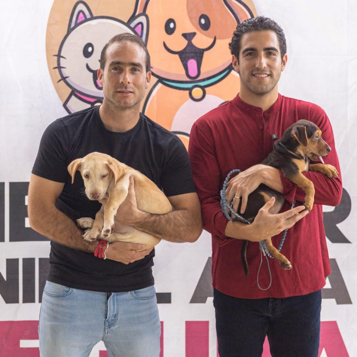 Diego Castañón y Eugenio Segura unen fuerzas por el bienestar animal en ...